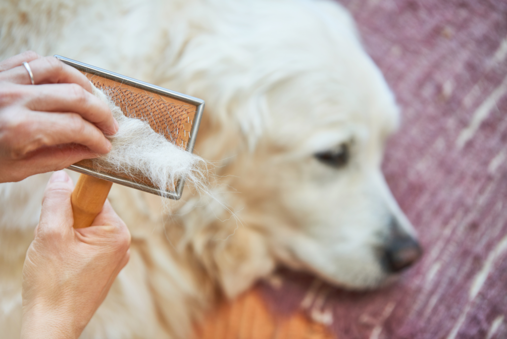Best Deshedding Brush: Shedmonster vs Furminator vs Furgopet